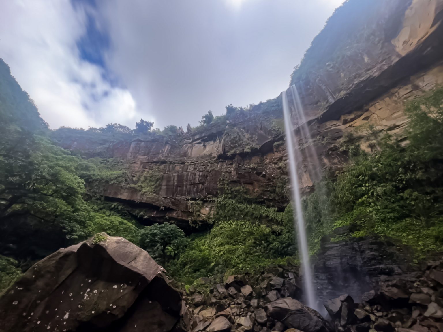 Iriomote Island’s Pinai-sara Waterfall Expedition 🌱 - Iriomote Island